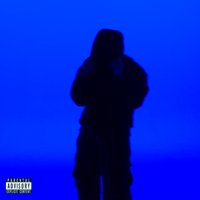 Mesalina - Favv: Song Lyrics, Music Videos & Concerts