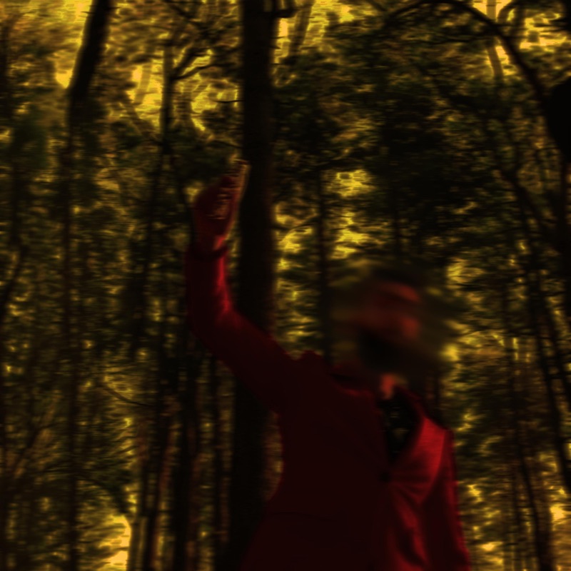 Crimson & Gold (feat. Ivan Moon) - xidontlie: Song Lyrics, Music Videos & Concerts