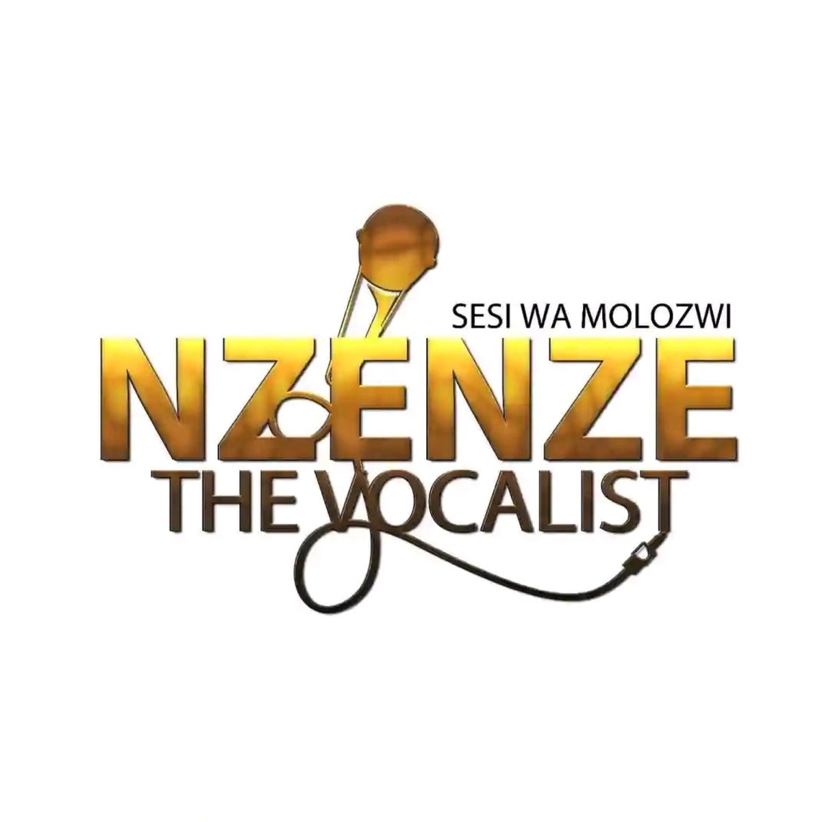 ‎O Tshwana Le Bona - Single - Album by Nzenze The Vocalist - Apple Music