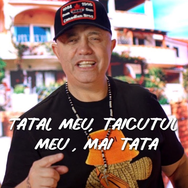 Tatal meu, taicutul meu , mai tata - Nicolae Guță: Song Lyrics, Music ...