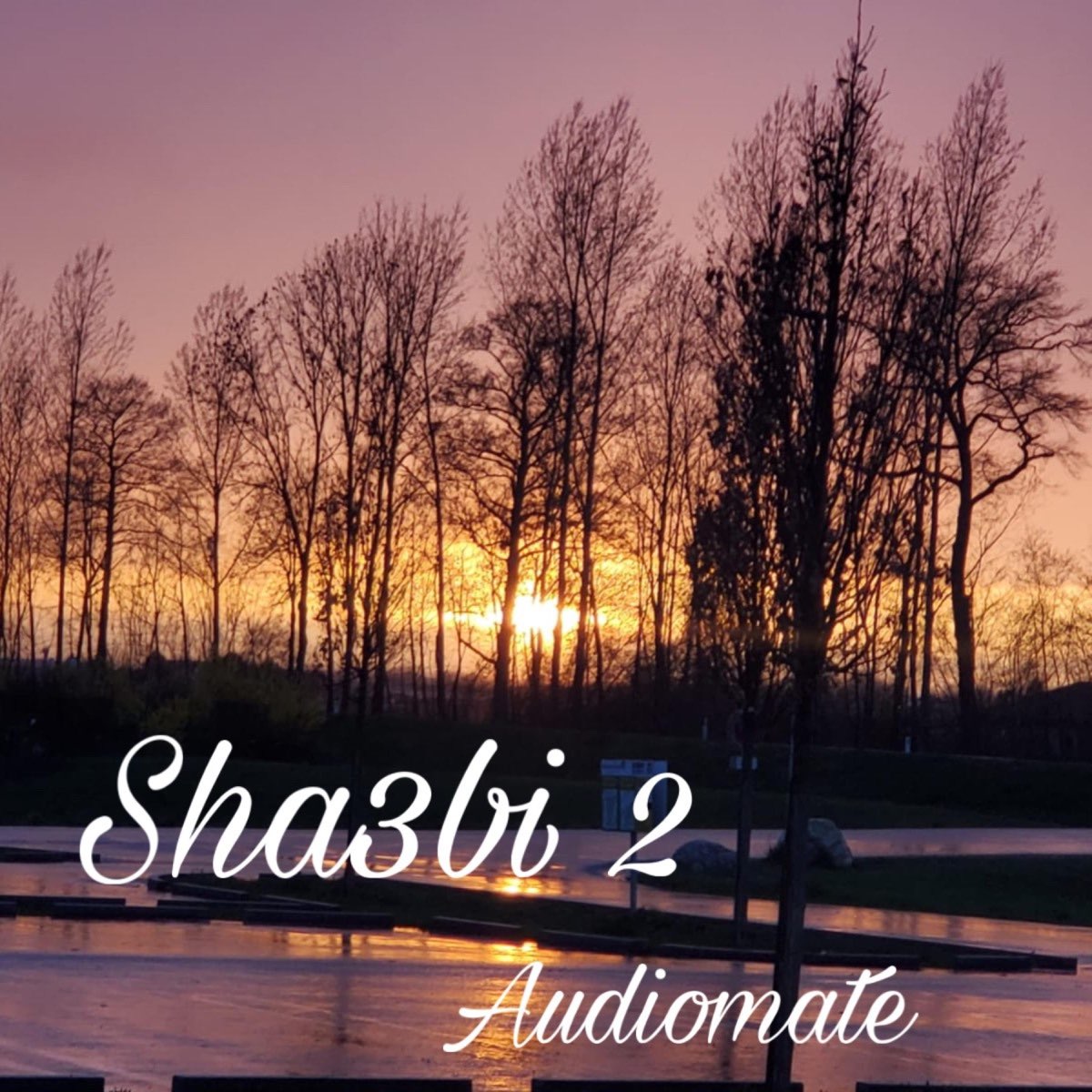 ‎أجمل المعزوفات الشعبية (2) - Single - Album by Audiomate - Apple Music