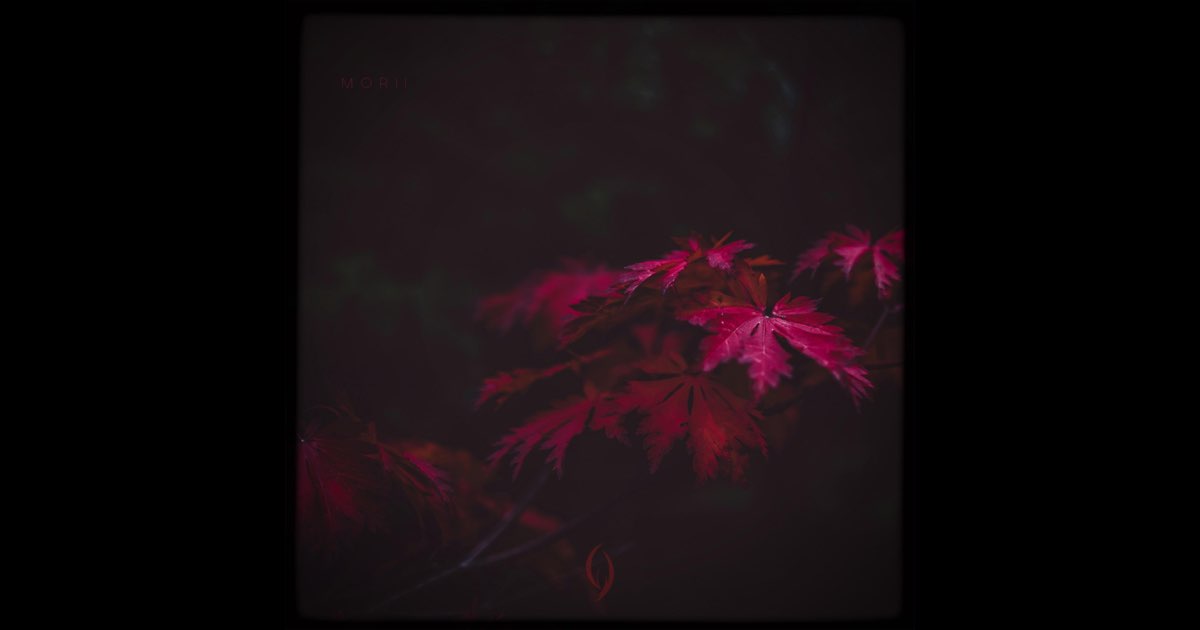 ‎Morii - Single - Album by Etsu - Apple Music