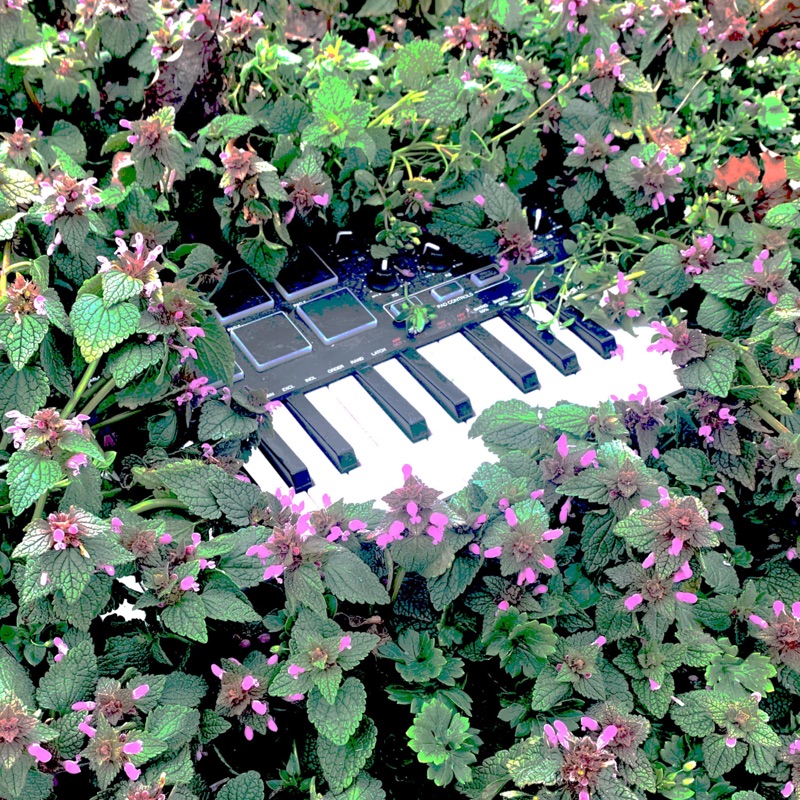 Petrified - Pain in the Yeahs: Song Lyrics, Music Videos & Concerts