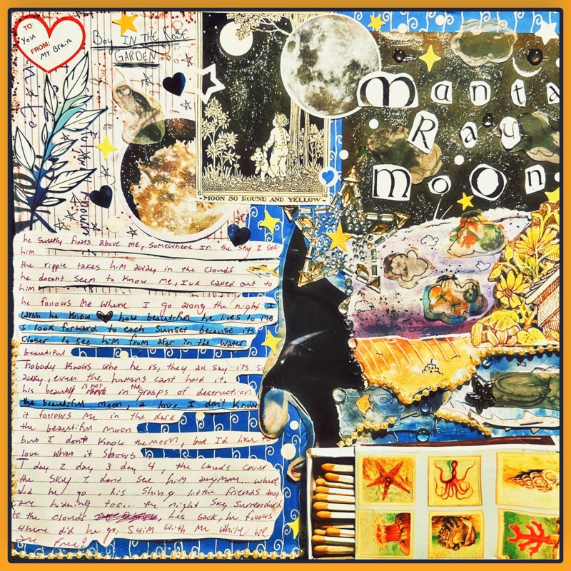 Manta Ray Moon - Music Video by Boy in the rose garden - Shazam