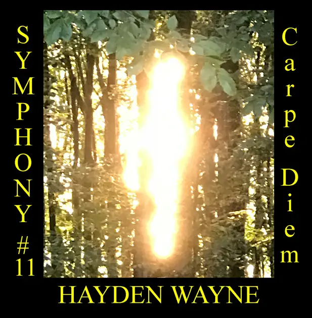 ‎Symphony #11: Carpe Diem by Hayden Wayne - Apple Music Classical