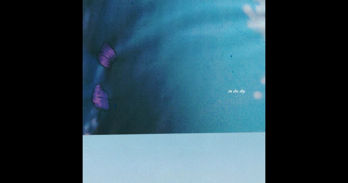 ‎In The Sky (DK The Punisher's 10th Anniv. Mix) [feat. Fat Ron] - Single - Album by SiR - Apple ...