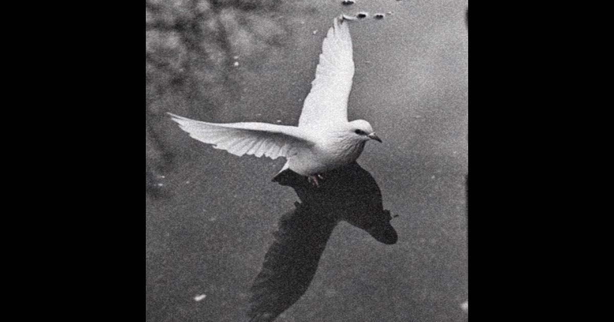 ‎The End - EP - Album by Jutes - Apple Music