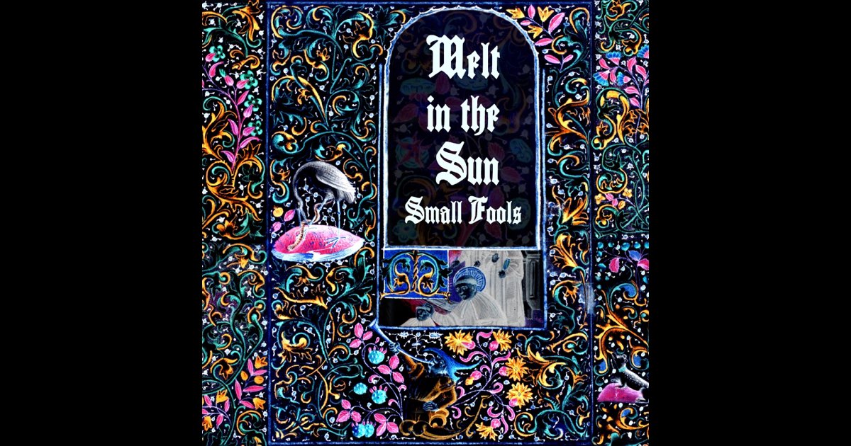 ‎Melt in the Sun - Single - Album by Small Fools - Apple Music