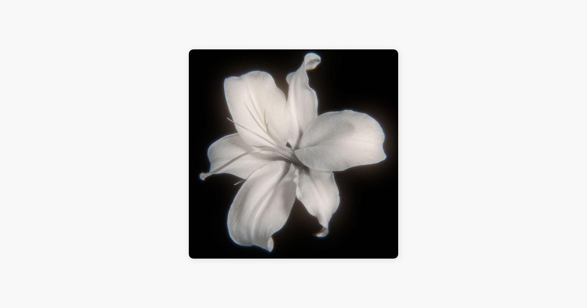 ‎ana – Song by sai nara – Apple Music
