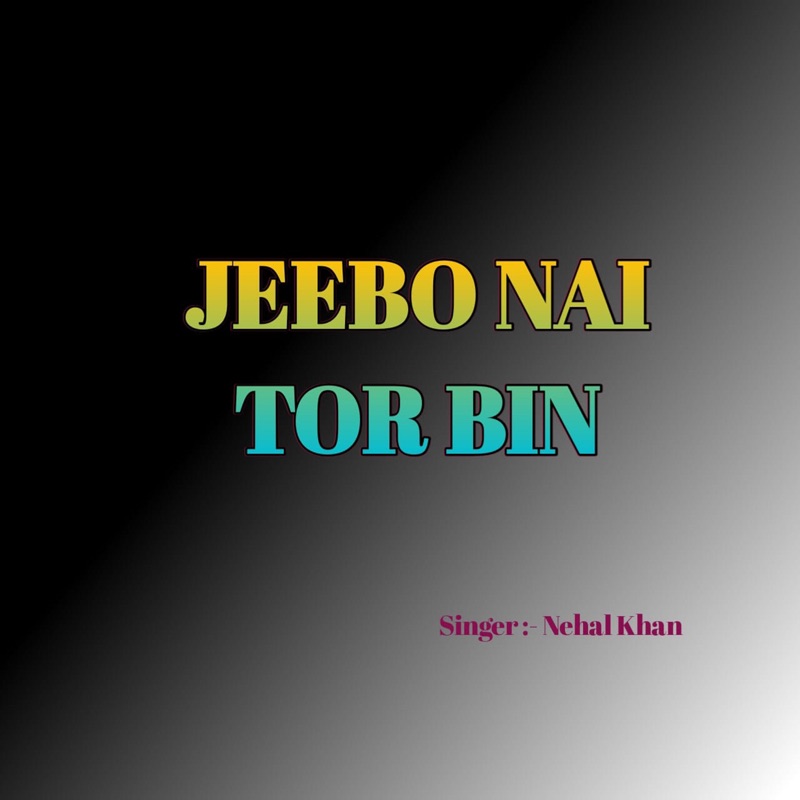 Jeebo Nai Tor Bin - Nehal Khan: Song Lyrics, Music Videos & Concerts