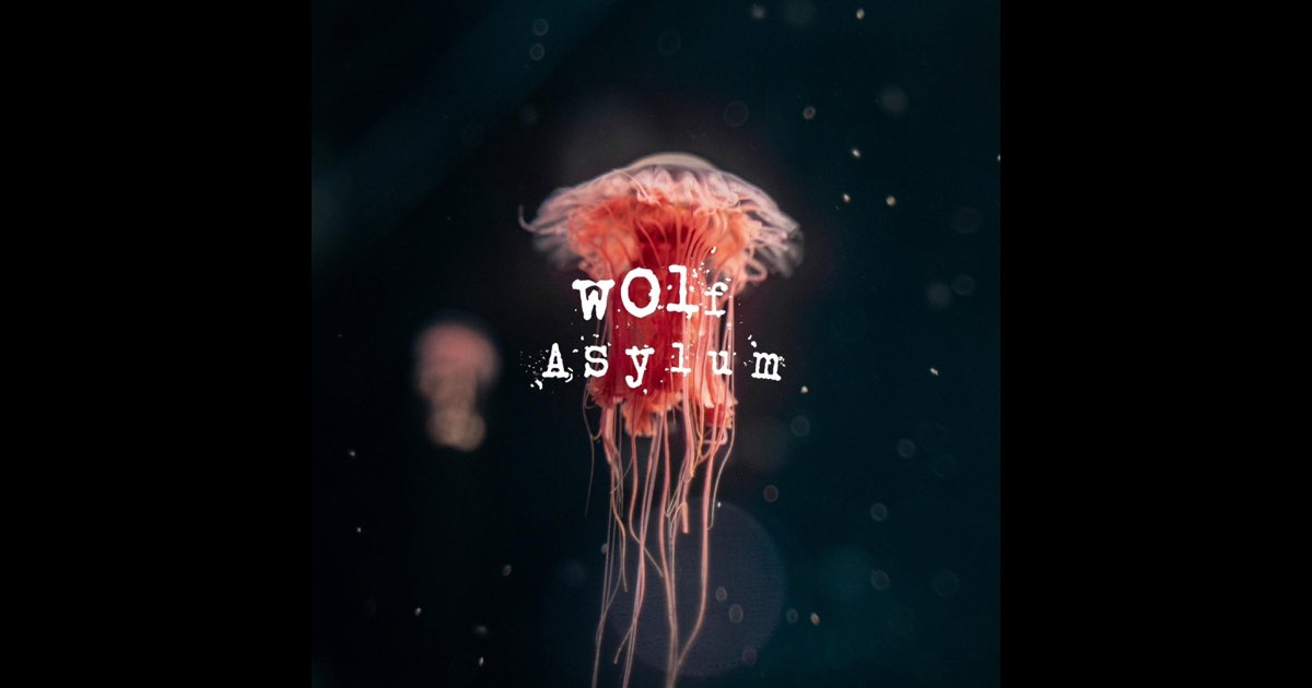 Nautilus (2025 Remaster)” álbum de Wolf Asylum en Apple Music