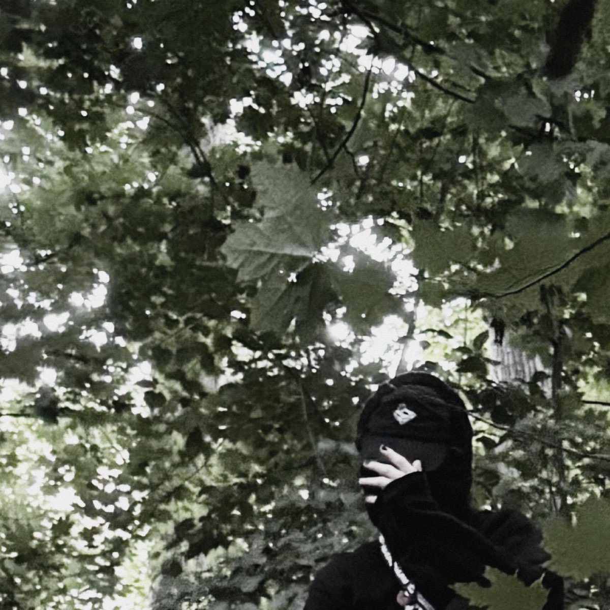 ‎Frank Horrigan - Single - Album by Lord Distortion - Apple Music