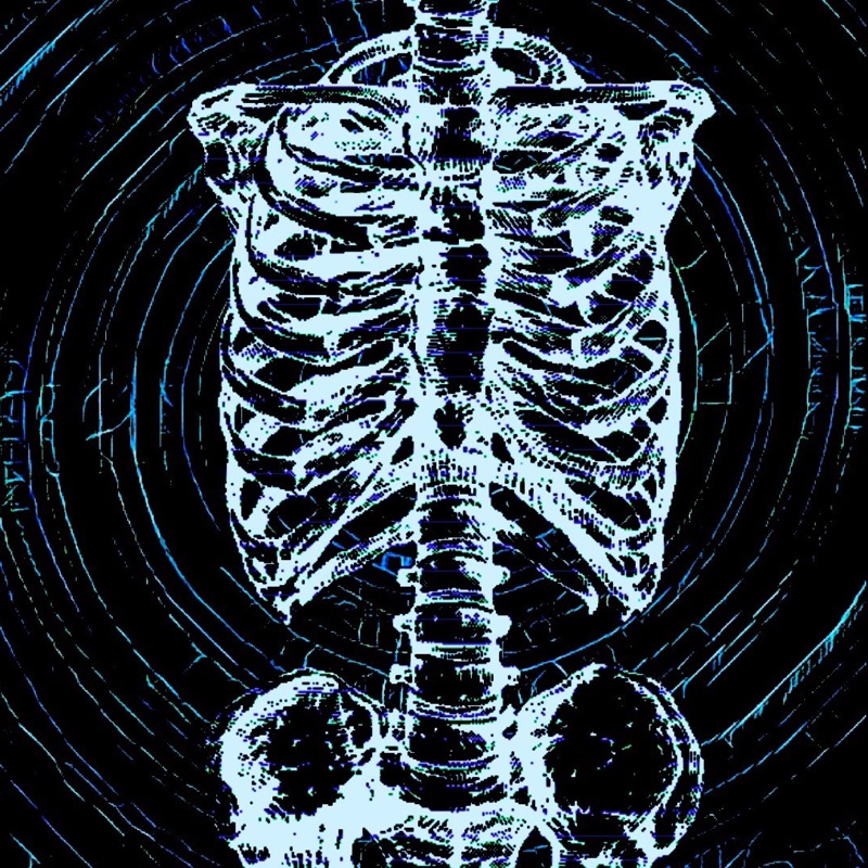 S P L E E N - NtSh: Song Lyrics, Music Videos & Concerts