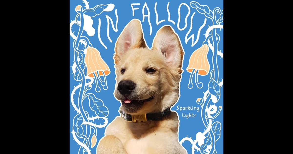 ‎Sparkling Lights - Single – Album par In Fallow – Apple Music