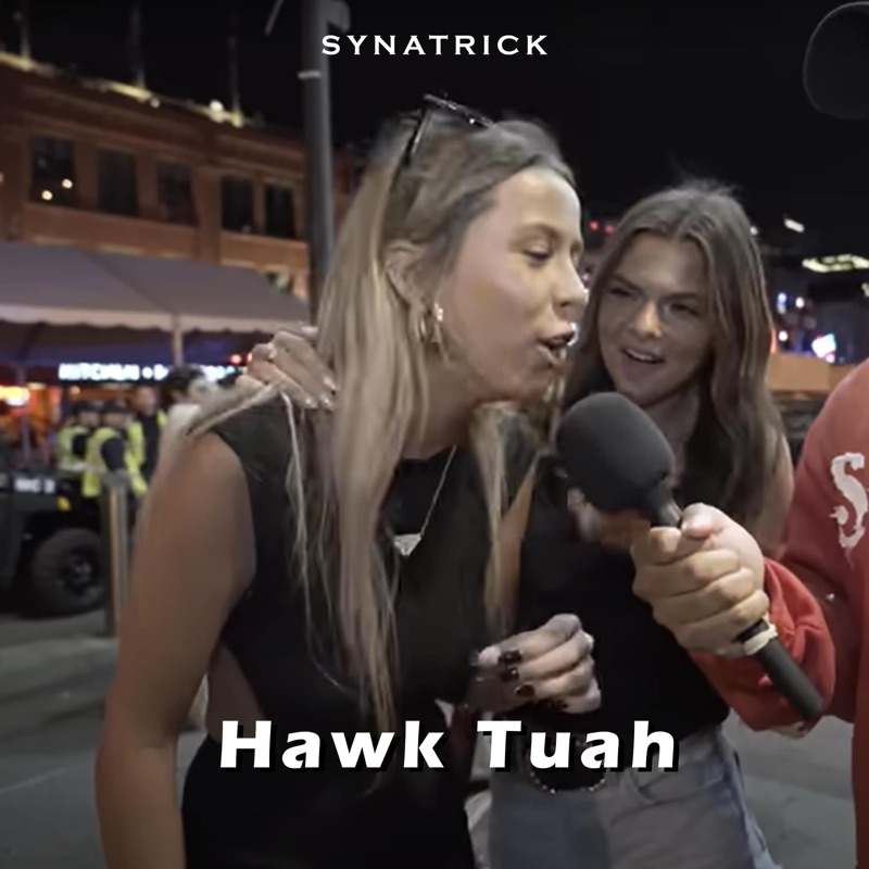 Hawk Tuah (Spit On That Thang) - Synatrick: Song Lyrics, Music Videos ...