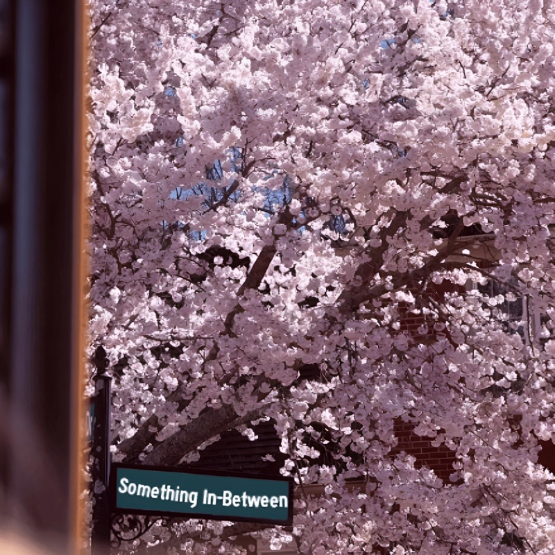 F L Y (feat. Agreya Menon) - Edmnd & Levi Ewan: Song Lyrics, Music ...