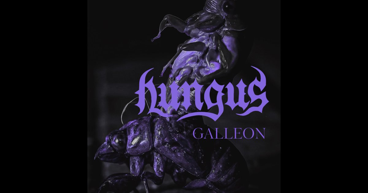 ‎Galleon - Single - hungusのアルバム - Apple Music