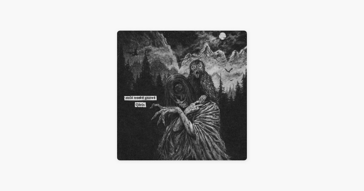 ‎The Flag Is Raised - Song by Owls Woods Graves - Apple Music