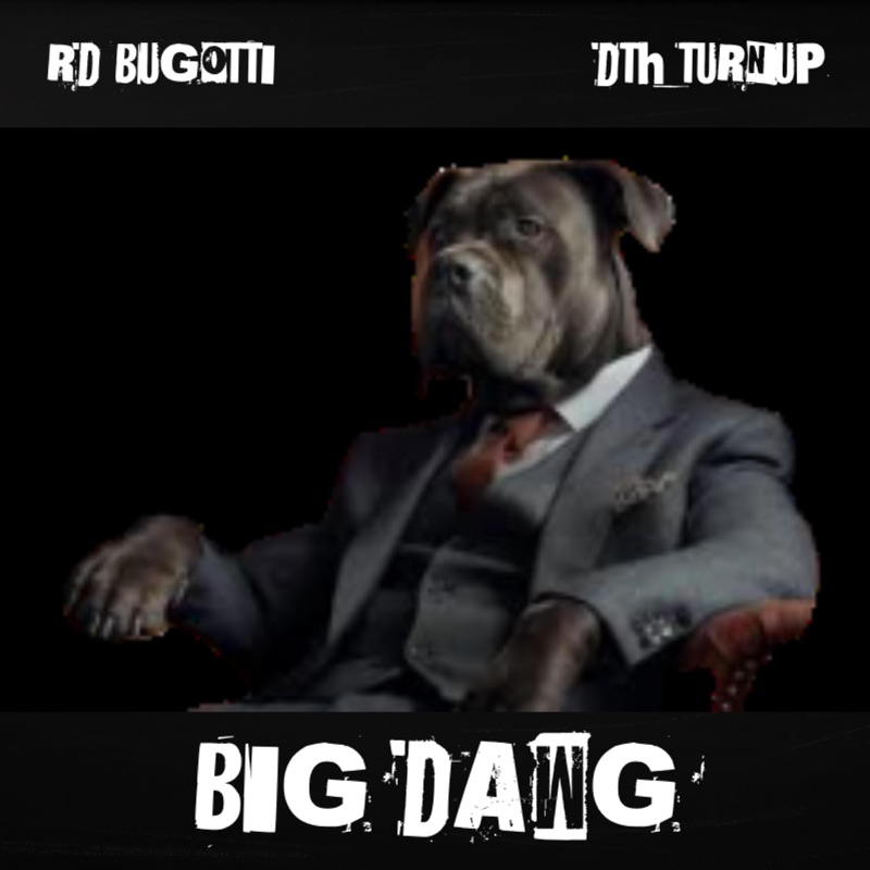 Big Dawg (feat. DTH Turnup) - RD Bugotti: Song Lyrics, Music Videos ...
