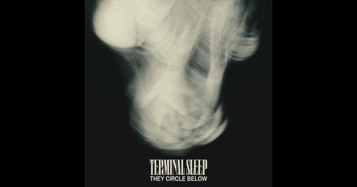 ‎They Circle Below - Single - Album by Terminal Sleep - Apple Music