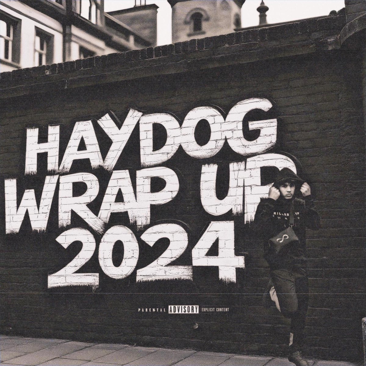 ‎Wrap Up 2024 - Single - Album by Haydog - Apple Music