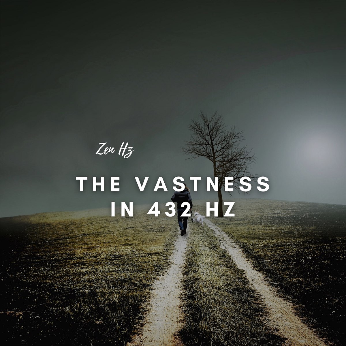 ‎The Vastness in 432 Hz - Zen Hz, 432 Hz & 432Hz Miracle Toneのアルバム ...