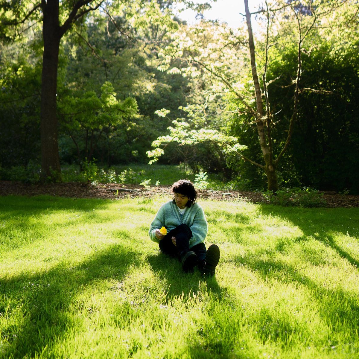 ‎Puppy Pollen - Single - Album by LCN! - Apple Music