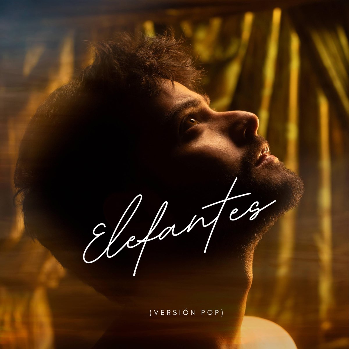 ‎Elefantes - Single - Album by Danilo Paris - Apple Music