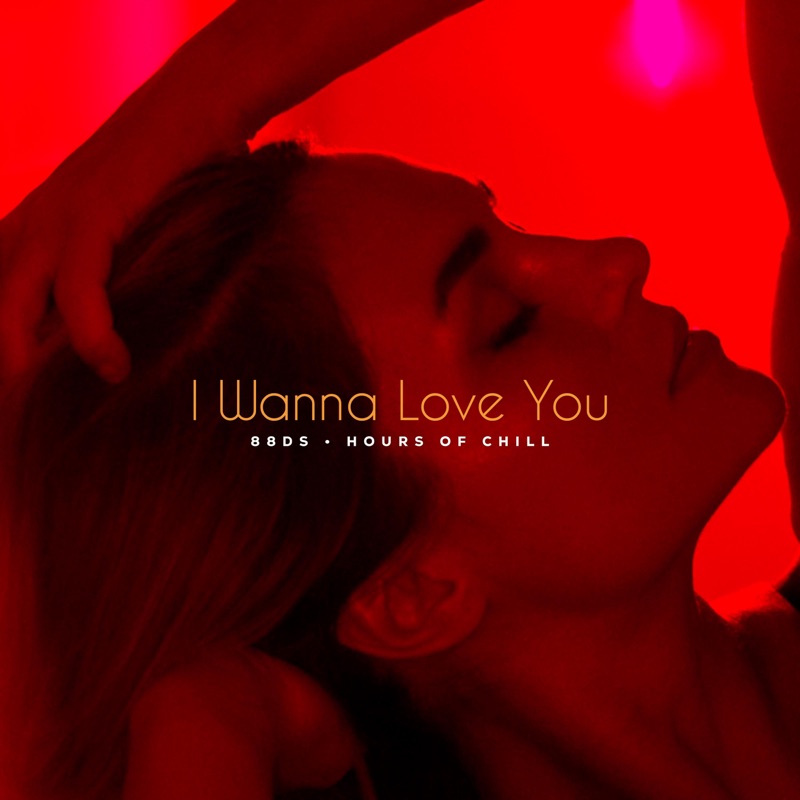 I Wanna Love You (slowed & reverb) - 88DS: Song Lyrics, Music Videos ...