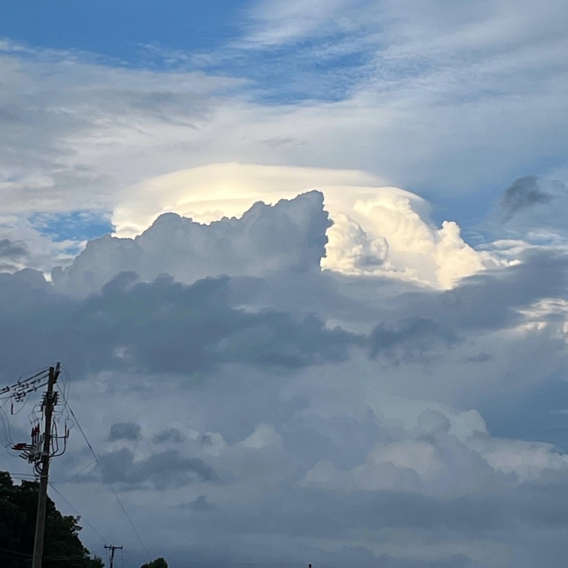 Elon Musk - J2P: Song Lyrics, Music Videos & Concerts