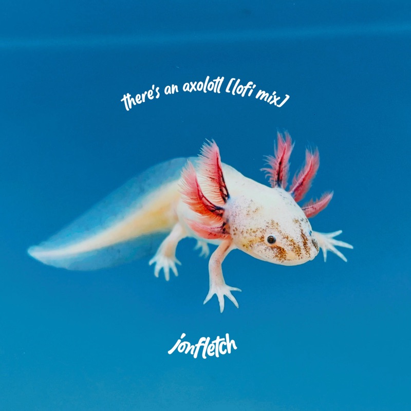 there's an axolotl (lofi mix) - JonFlëtch: Song Lyrics, Music Videos ...