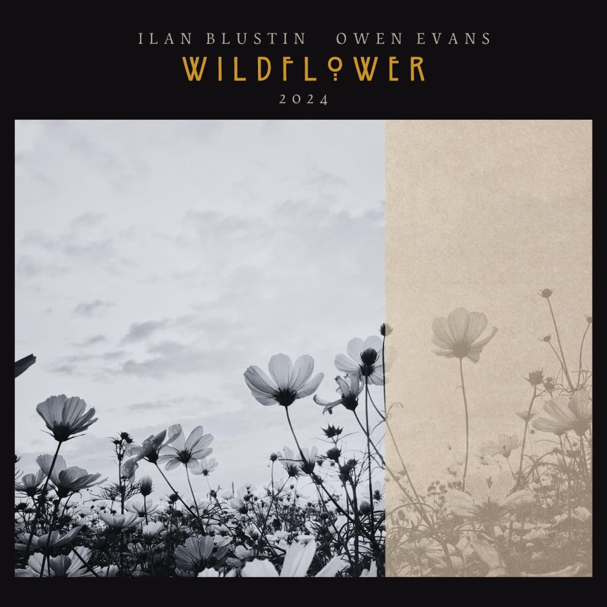 ‎Wildflower - Single - Album by Ilan Blustin & Owen Evans - Apple Music
