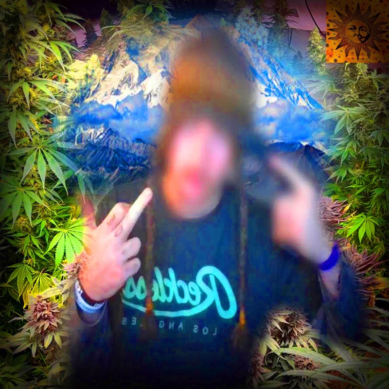 Icey Soles - smokedope2016: Song Lyrics, Music Videos & Concerts