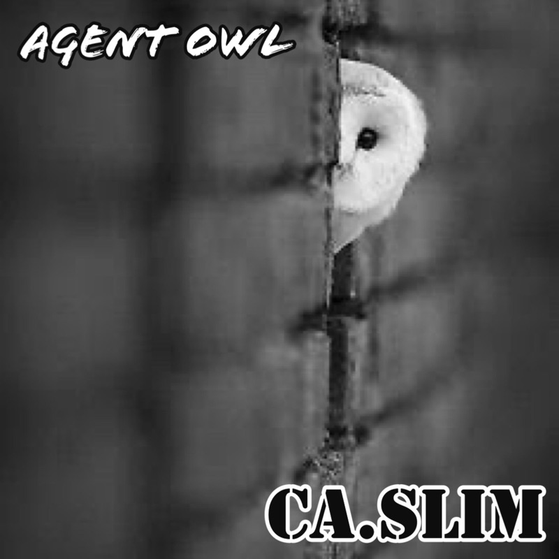 AGENT OWL - CA.SLIM: Song Lyrics, Music Videos & Concerts