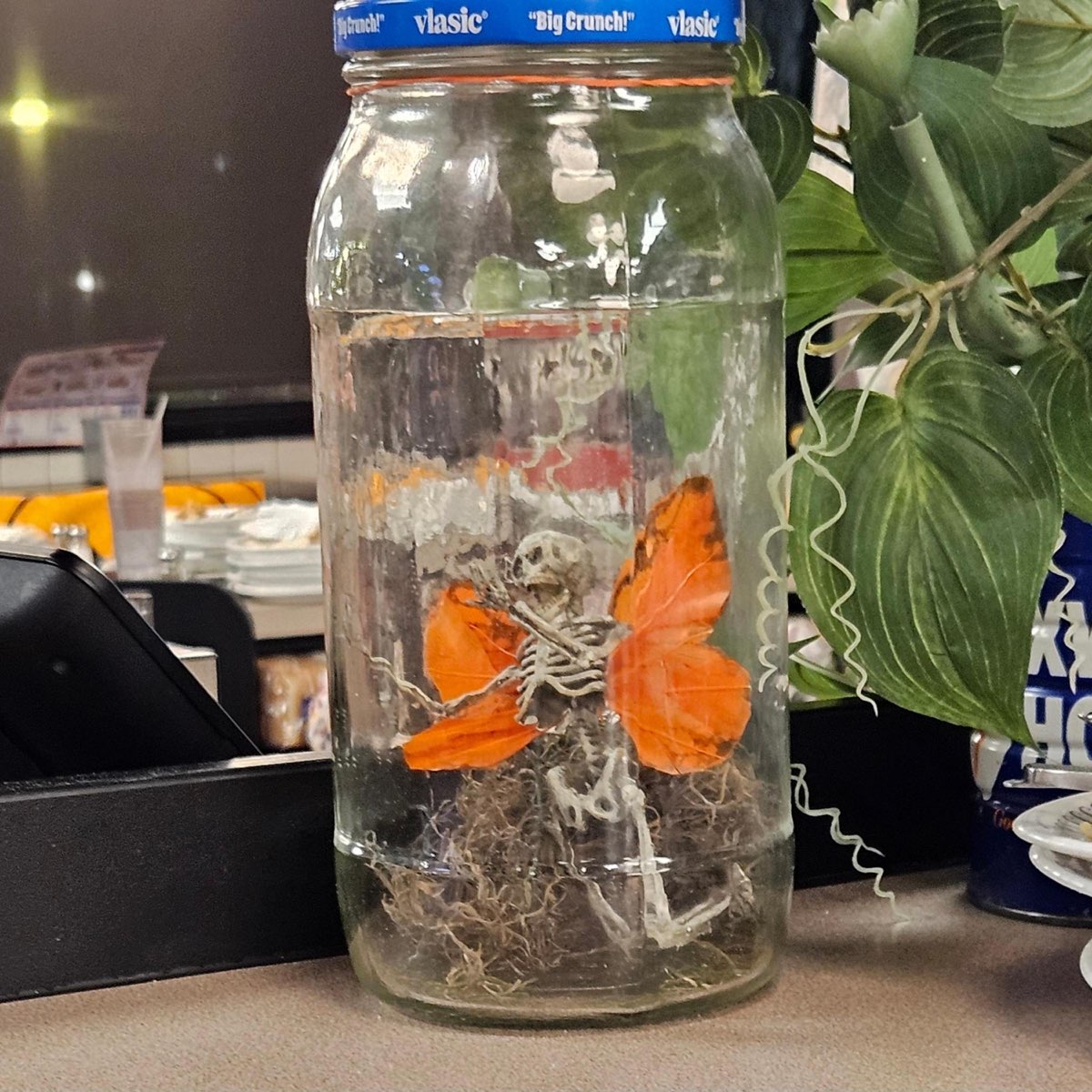 ‎Pay Gorn - Single — álbum de Dxmmy — Apple Music