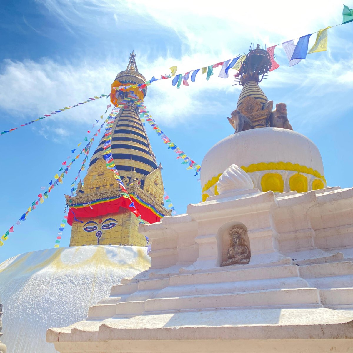 ‎I'm a Nepali - Single - Sakhil Nepalのアルバム - Apple Music