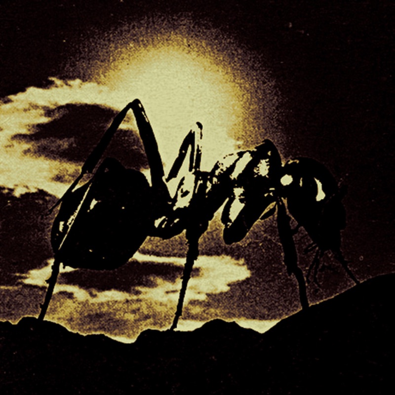 BLACK ANT VS SPAWN (THE BLACK SHARPIE) - Black Ant: Song Lyrics, Music ...