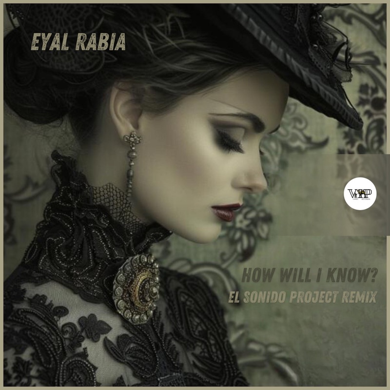 How Will I Know? (El Sonido Project Remix) - Eyal Rabia: Song Lyrics ...