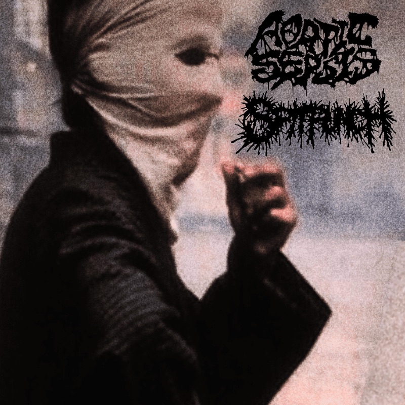 MAGGOT - SPITPUNCH: Song Lyrics, Music Videos & Concerts