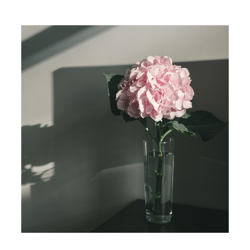 Every Living Breathing Moment - Piano (Night) - Penguin Piano: Song ...