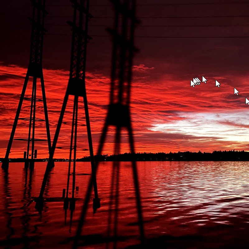 i rip it out - xylz: Song Lyrics, Music Videos & Concerts