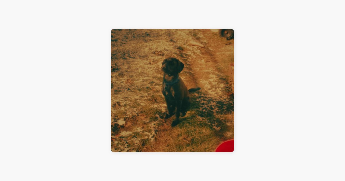 ‎bosco - EP - Album by Hopeless Romantic - Apple Music