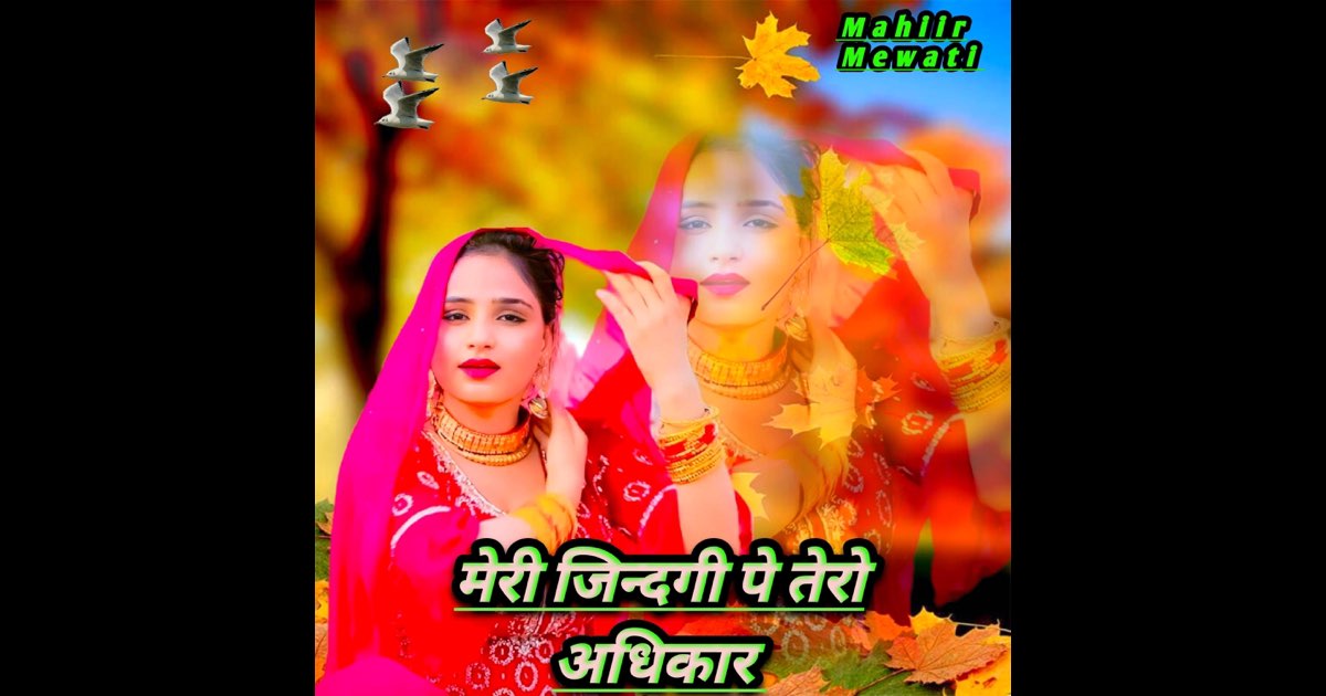 ‎Meri Zindagi Pe Tero Adhikar - EP - Album by Mahiir Mewati - Apple Music