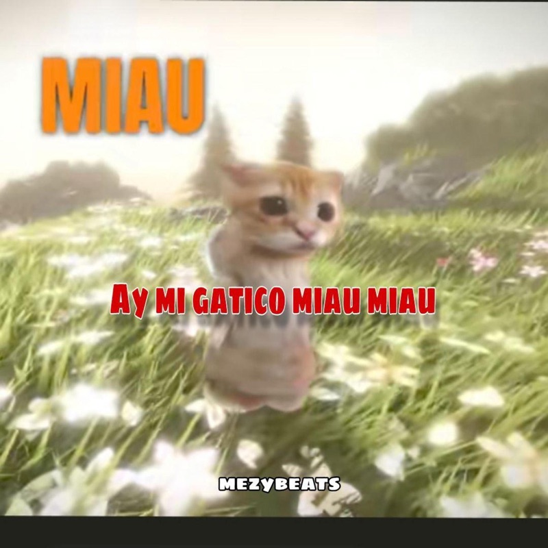 ay mi gatito miau miau - MezyBeats: Song Lyrics, Music Videos & Concerts