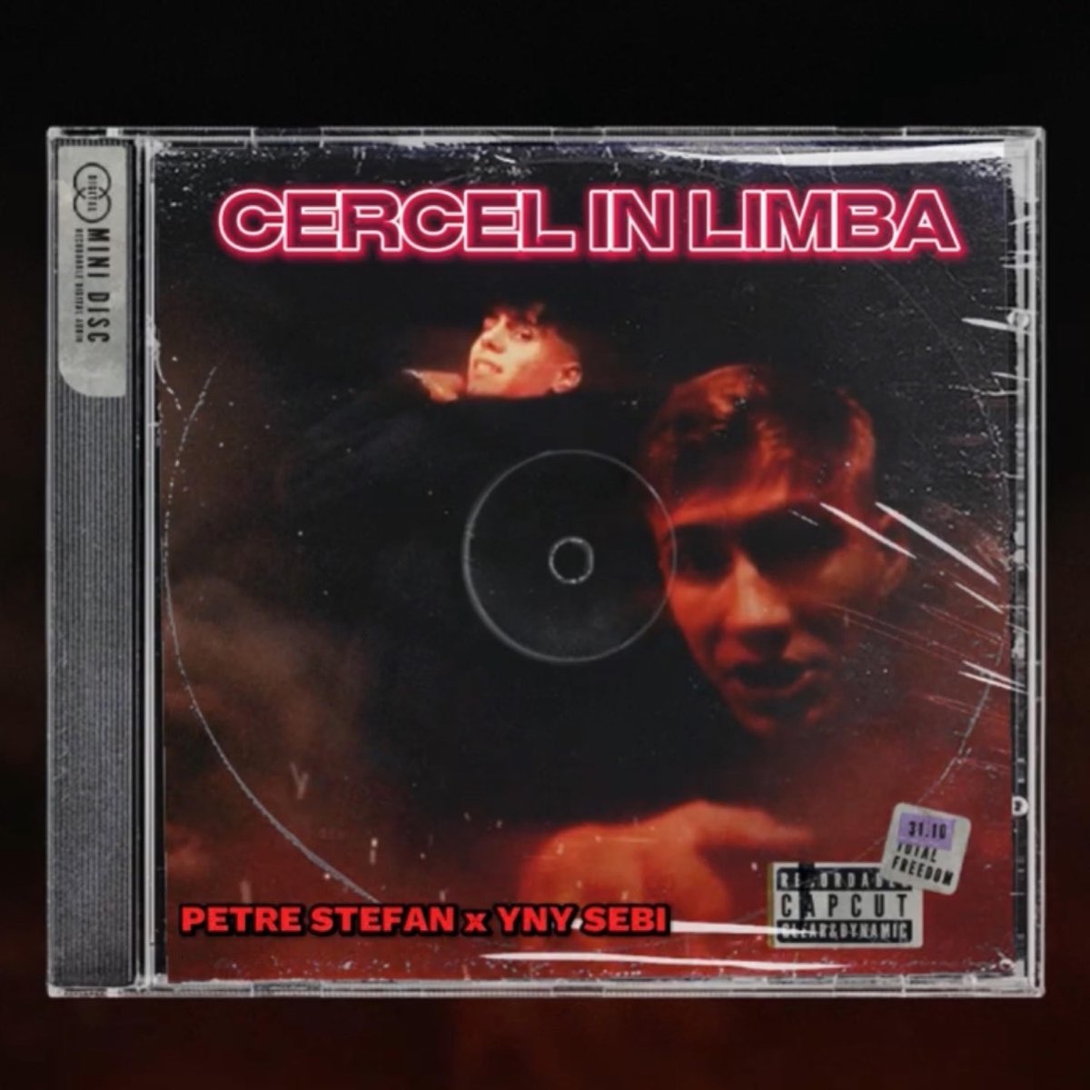 ‎Cercel In Limba (feat. Petre Stefan & YNY Sebi) - Single - Album by ...