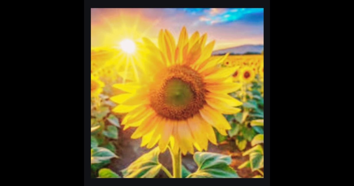 ‎We've Got Your Back - Single - Album by LAIN - Apple Music