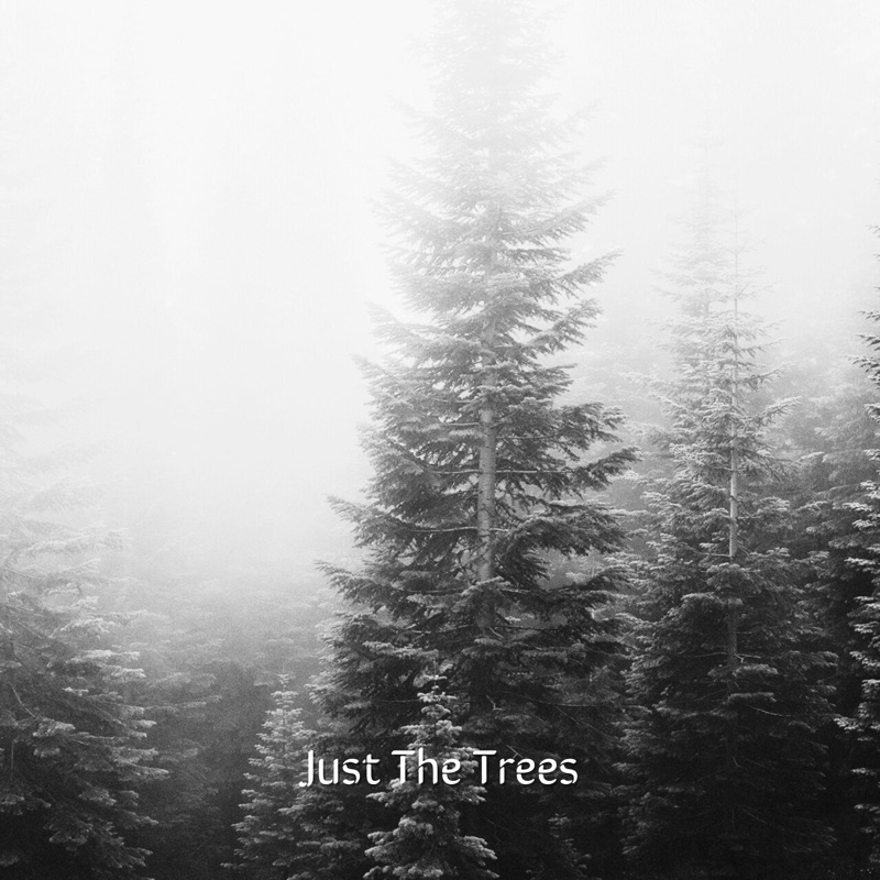 Just The Trees - Conservative: Song Lyrics, Music Videos & Concerts