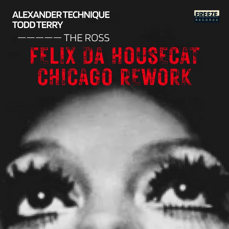 The Ross (Felix Da Housecat Chicago Rework) - Alexander Technique, Todd ...
