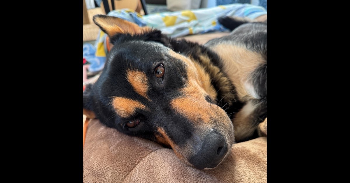 ‎In Every Photograph - Single - Album by Aden Foyer - Apple Music