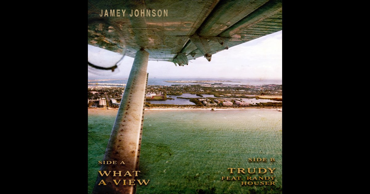 ‎What A View / Trudy - Single - Album by Jamey Johnson - Apple Music